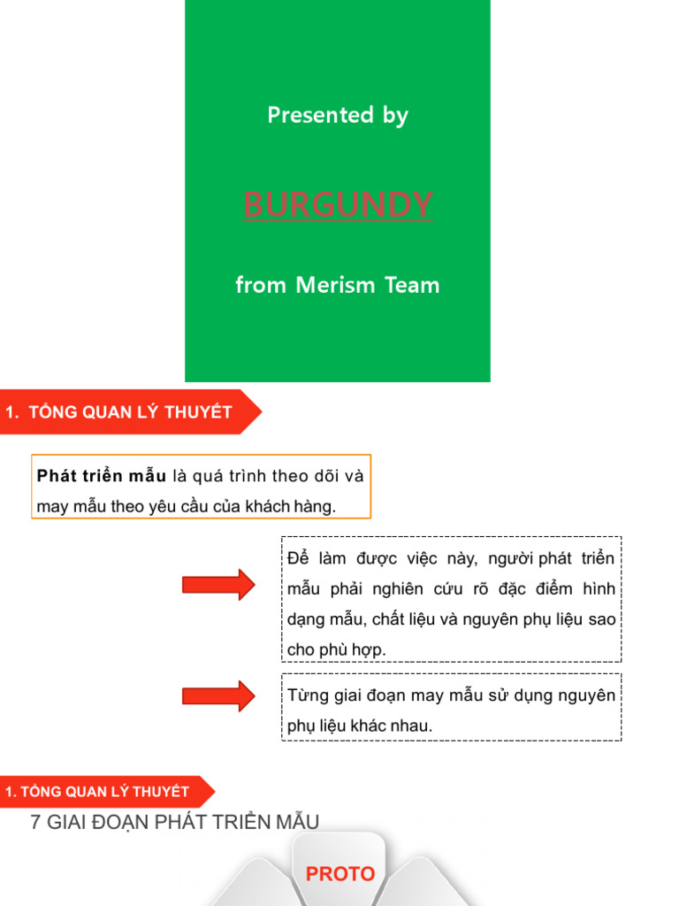 Merism Team - Quy trình pt mẫu | PDF