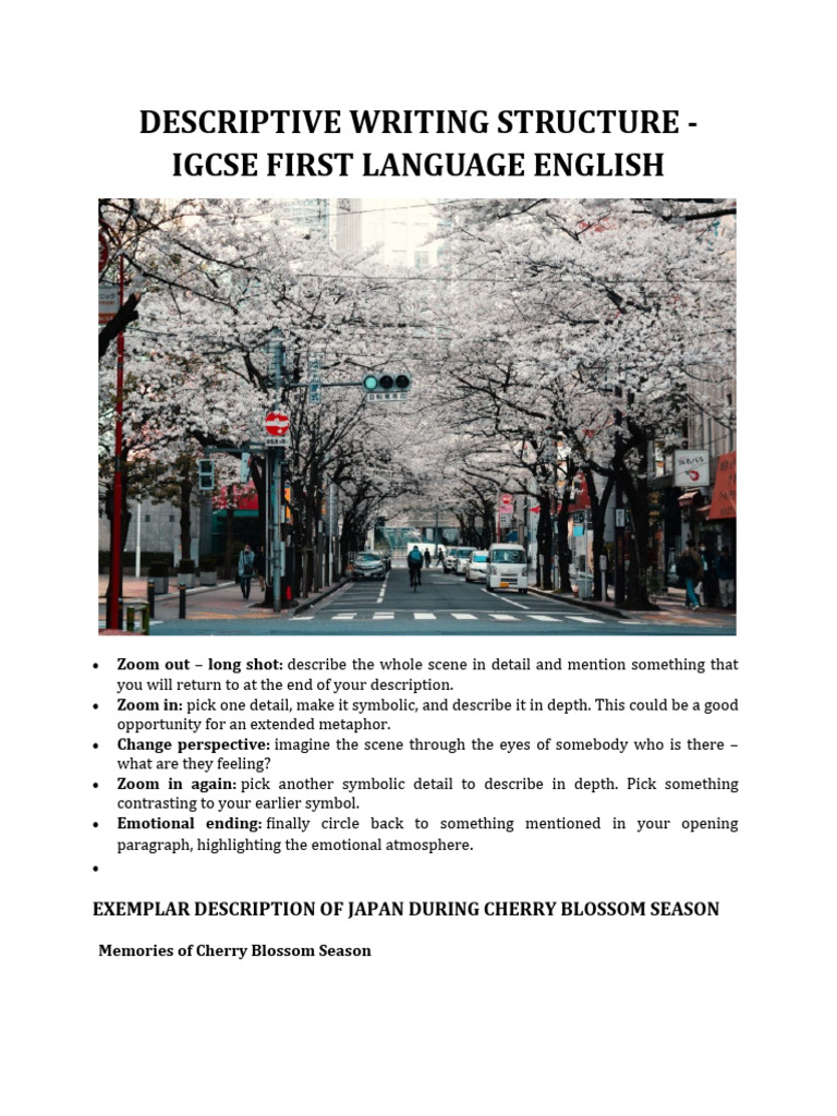 Easy Descriptive Writing Structure For IGCSE First Language English | PDF