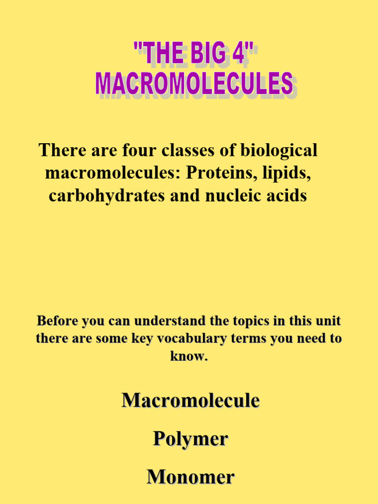 Lipid Proteins Carbohydrates | PDF | Macromolecules | Biochemistry