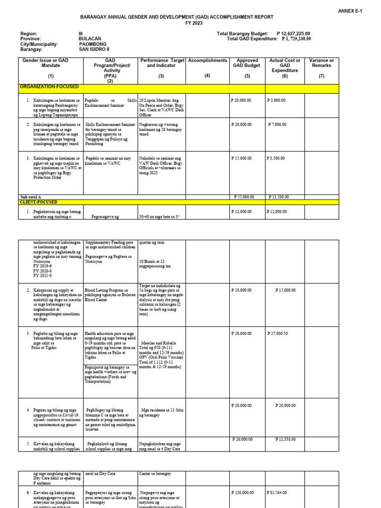 SAN ISIDRO 2 Barangay GAD AR Form 20223 (1) Accomplished | PDF