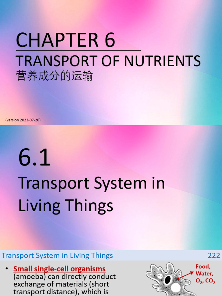 c6 - Slide | PDF | Red Blood Cell | Blood Cell