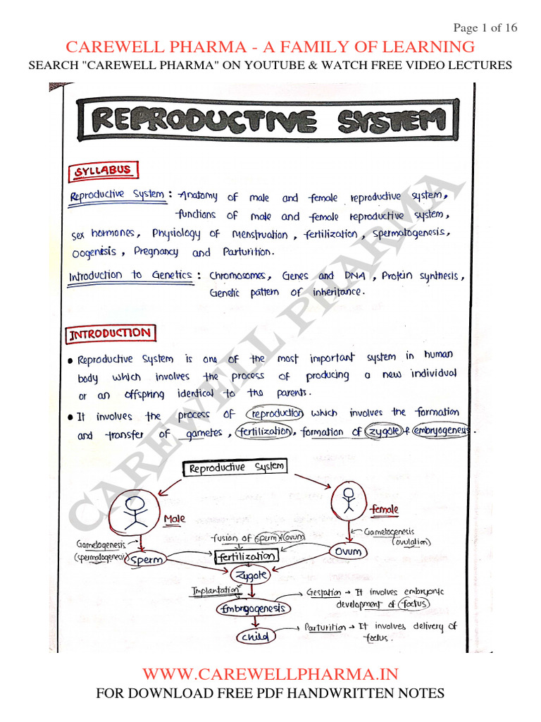 Unit 5, Human Anatomy and Physiology 2, B Pharmacy 2nd Sem, Carewell ...