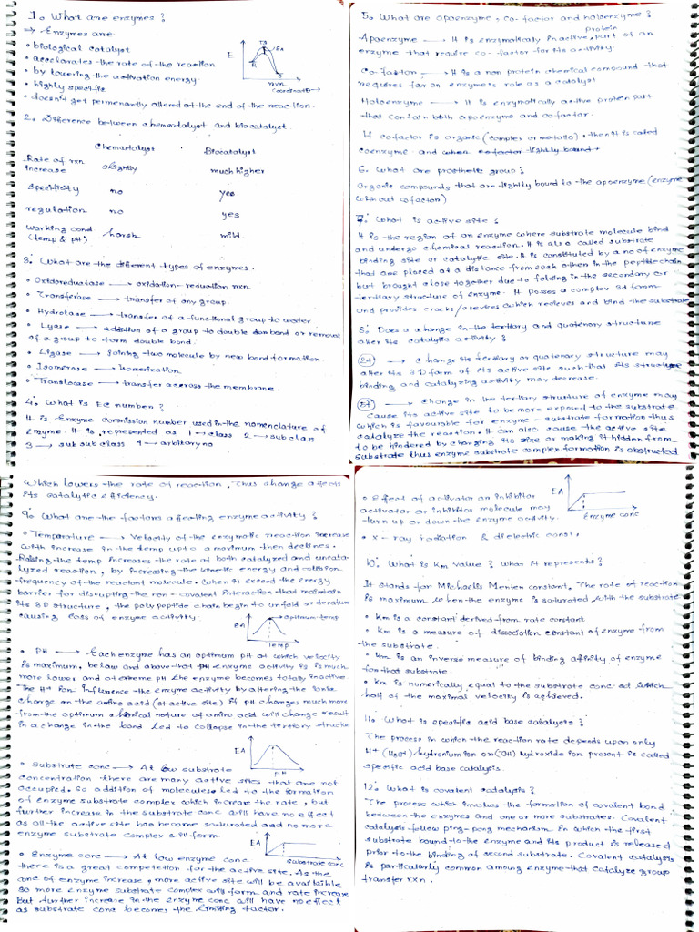 Biochemistry and Nutrition 2 Answer Cheats | PDF | Structural Biology ...