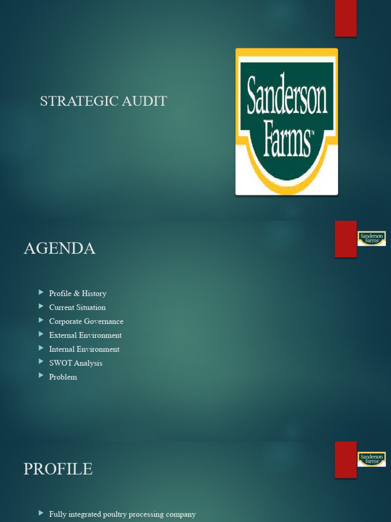 Strategic Audit Example | PDF | Strategic Management | Diversification ...