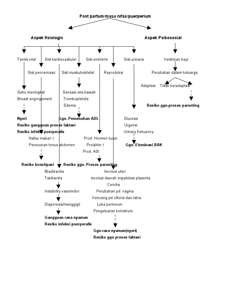 WOC Post Partum | PDF