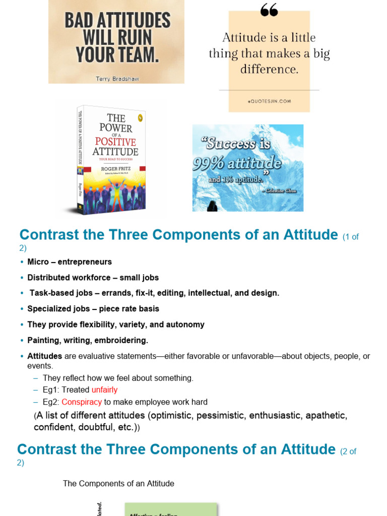 OB Unit 3 | PDF | Job Satisfaction | Attitude (Psychology)