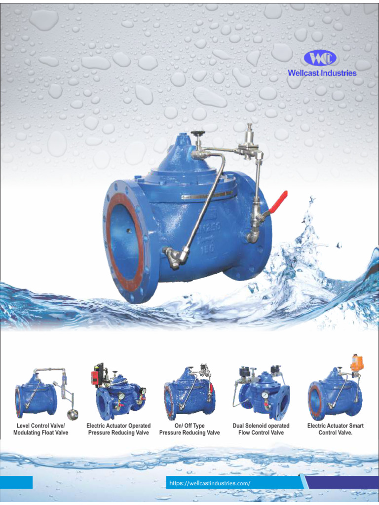 Wellcast - PRV | PDF | Valve | Actuator