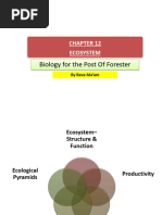 Biology Notes Class-XII: Chapter-14: Ecosystem | PDF | Food Web ...