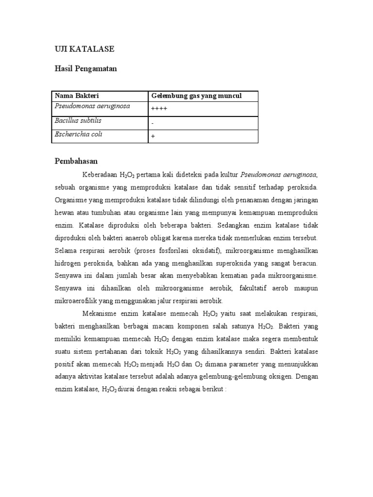 Uji Katalase | PDF