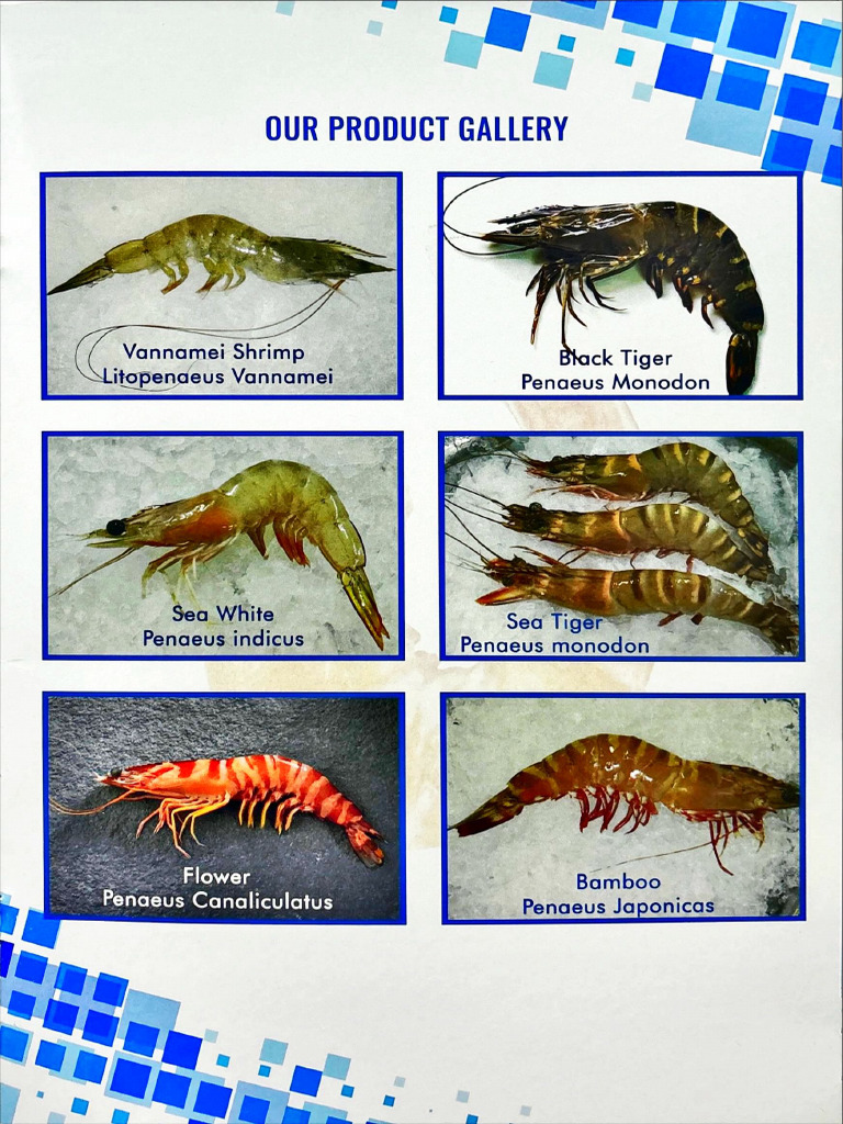 Sea Food | PDF