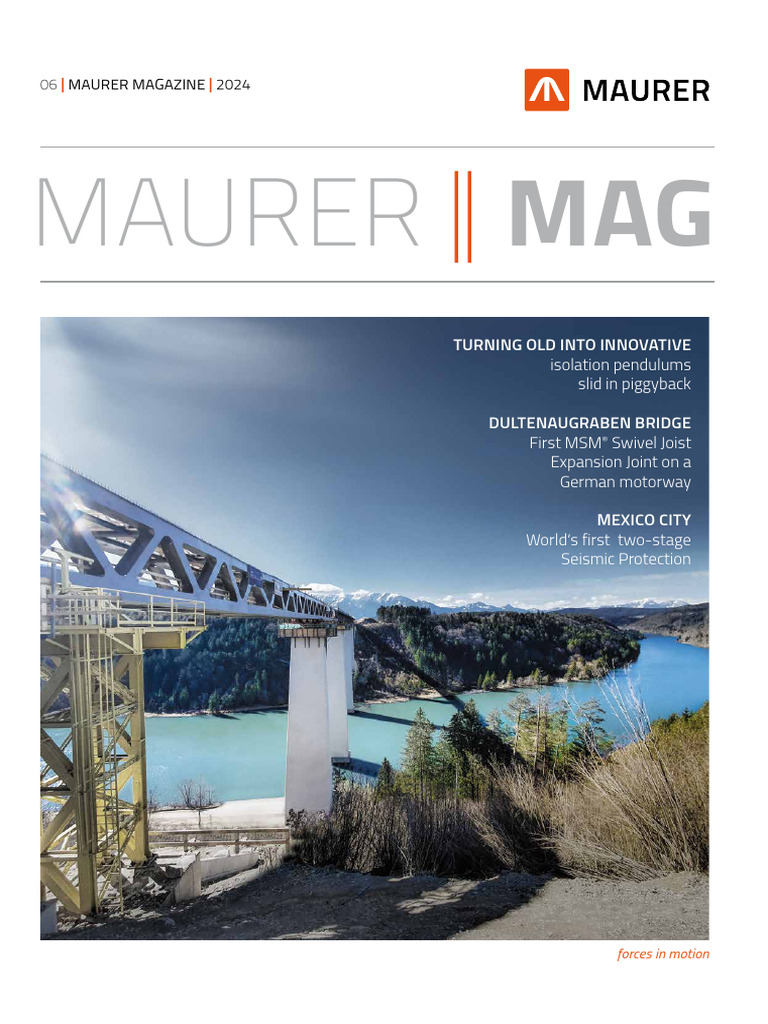 Maurer MAG | PDF | Bearing (Mechanical) | Friction