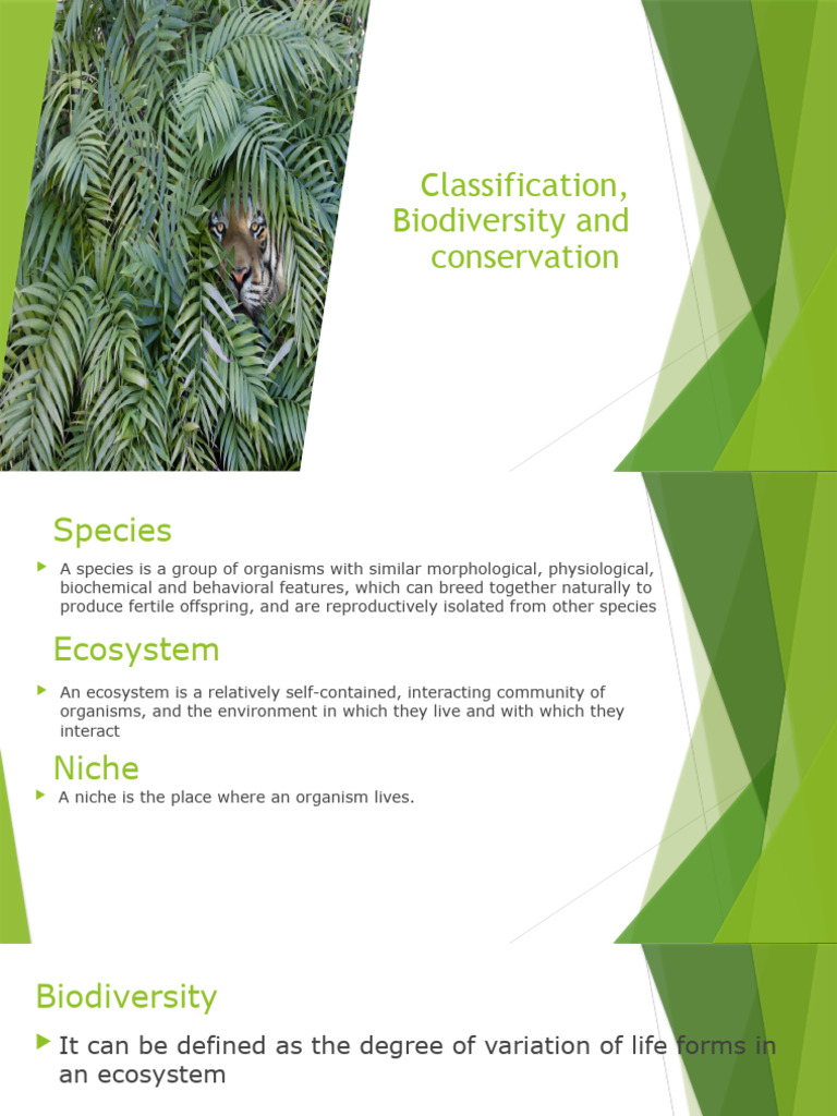 Classification, Biodiversity and Conservation Deepti | PDF | Spearman's ...