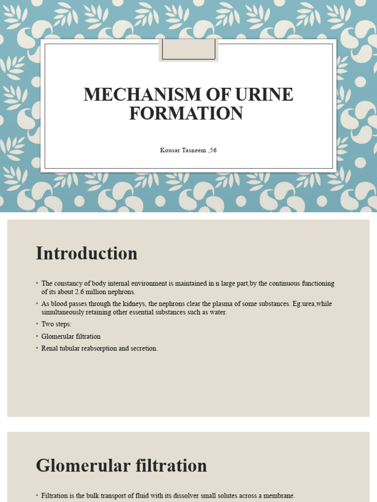 Mechanism of Urine Formation Kousar | PDF