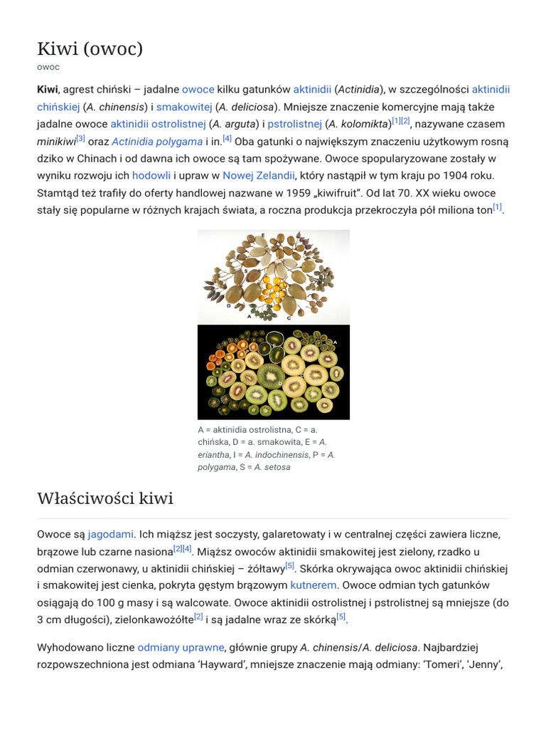 Kiwi (Owoc) - Wikipedia, Wolna Encyklopedia | PDF