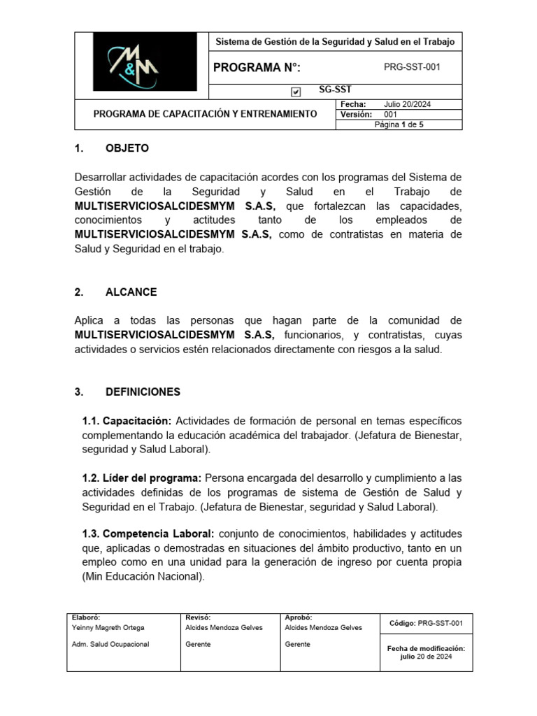 Capacitación en Seguridad y Salud Laboral | PDF | Seguridad y salud ...