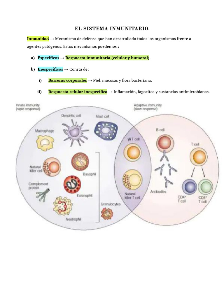 A-INMUNO | PDF | Sistema complementario | Sistema inmune