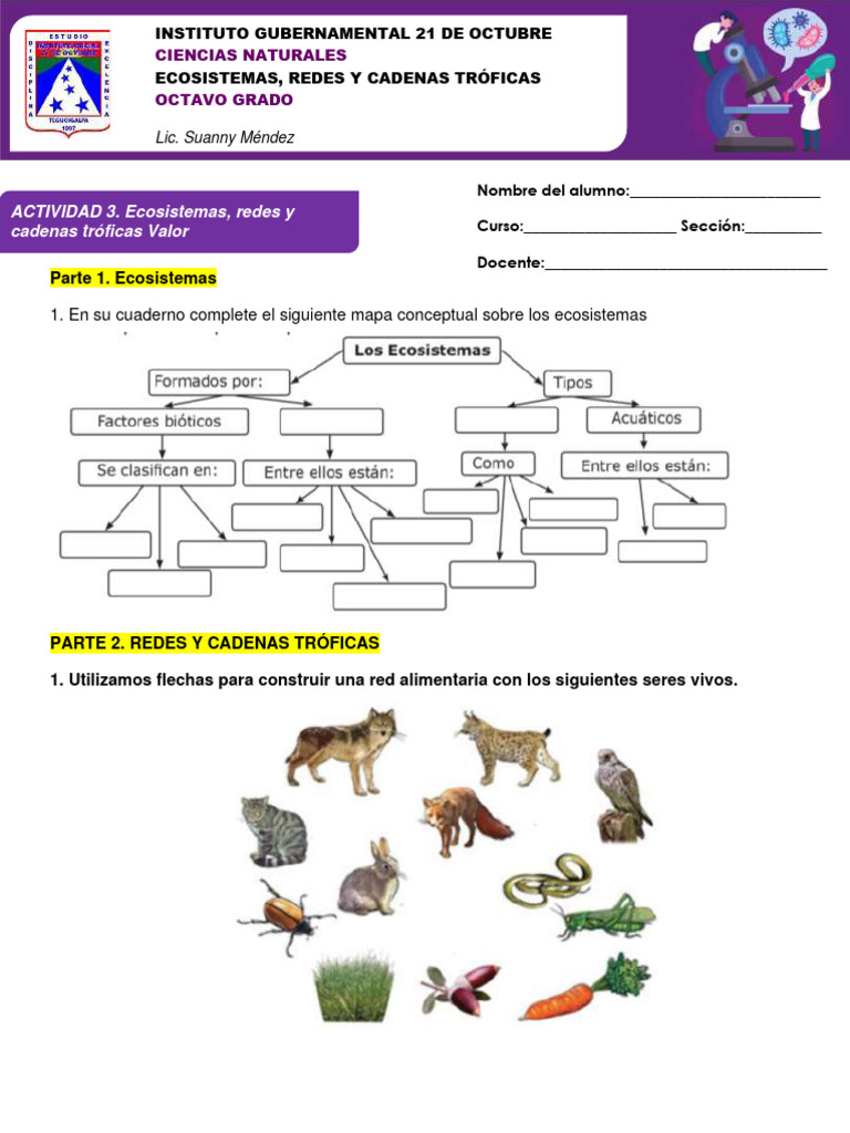 Actividades de Ecosistemas y Redes Tróficas | PDF | Red alimentaria ...