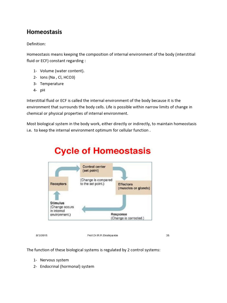 Homeostasis | PDF | Self-Improvement