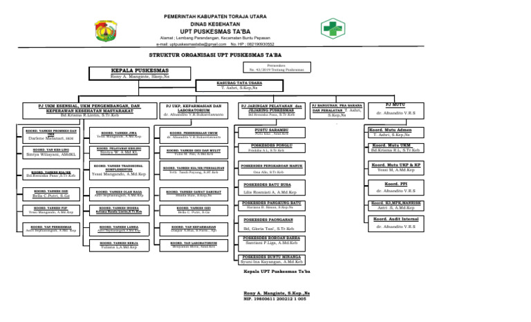 Bagan Struktur Organisasi Upt Puskesmas Ta'Ba | PDF