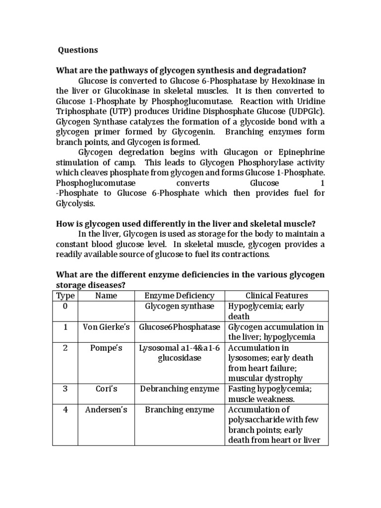 Glycogen Problem Set | PDF | Glycogen | Biochemistry