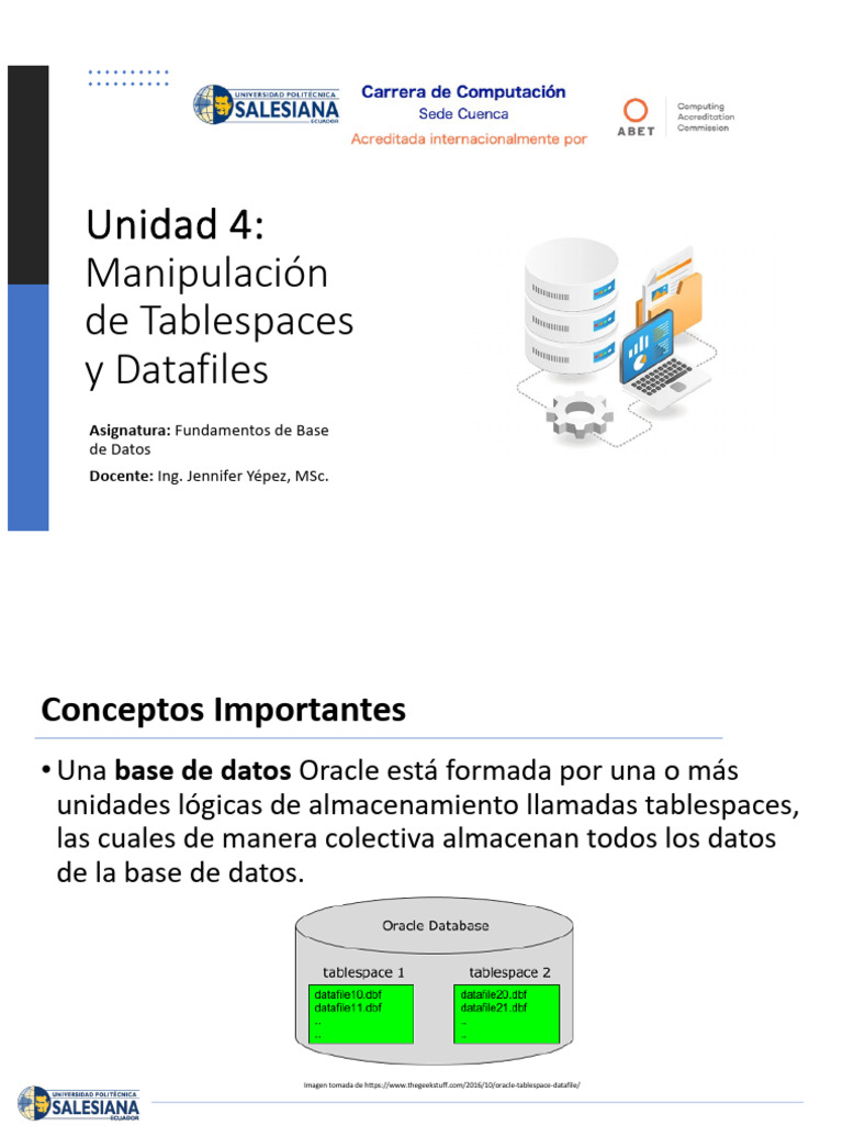 Tablespaces y Datafiles | PDF | Bases de datos | Apoyo