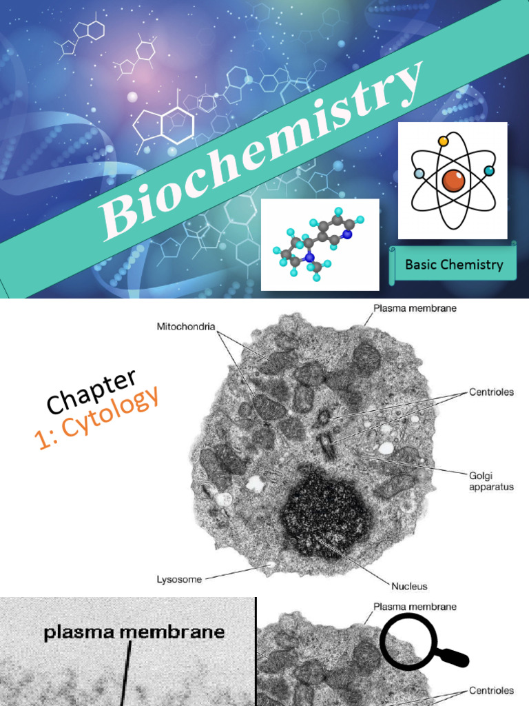03a. Biochemistry Basics | Download Free PDF | Chemical Bond | Ion