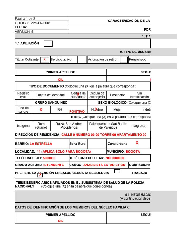 Ejemplo Formulario Unico de Ingreso Subsistema | PDF | Documento de ...