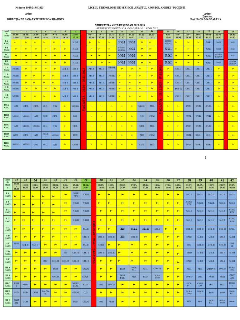 Structură + Grafice Practica Amg - 2023-2024 | PDF