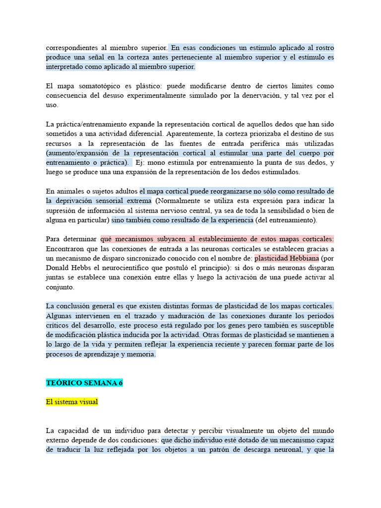 Resumen Neurofisiología | PDF | Las emociones | Percepción visual