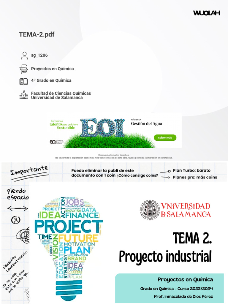 Tema 2 Proyectos | PDF | Presupuesto | Seguro
