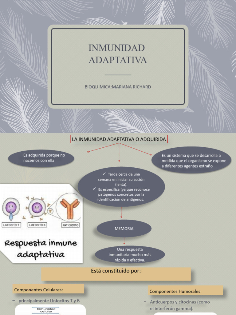 Inmunidad Adaptativa: Funciones y Componentes | PDF | Sistema inmune ...