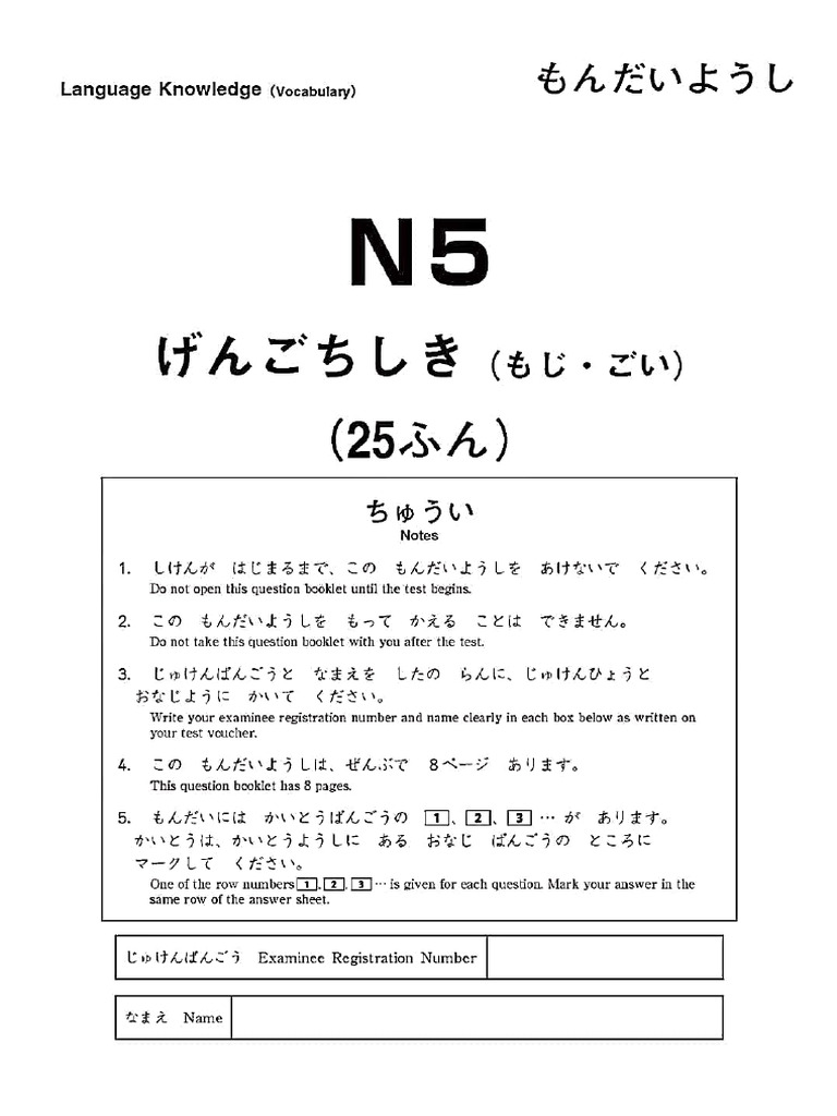 n5 Practice Set | PDF