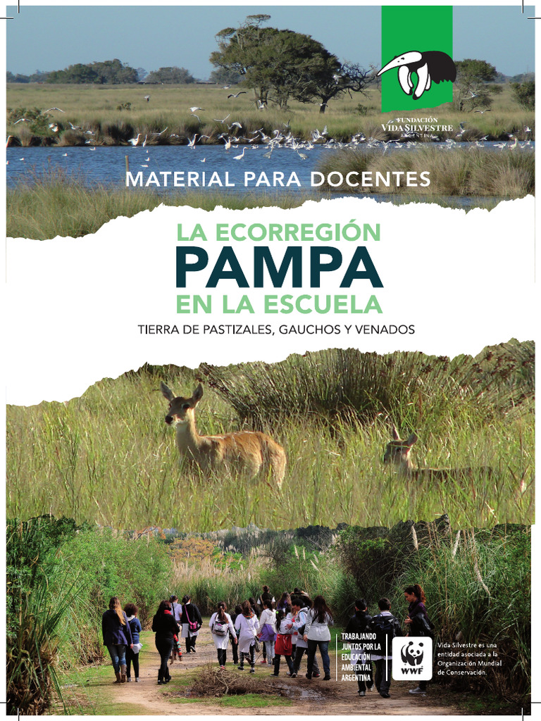 cuadernillo_pampa | Descargar gratis PDF | Pradera | Entorno natural
