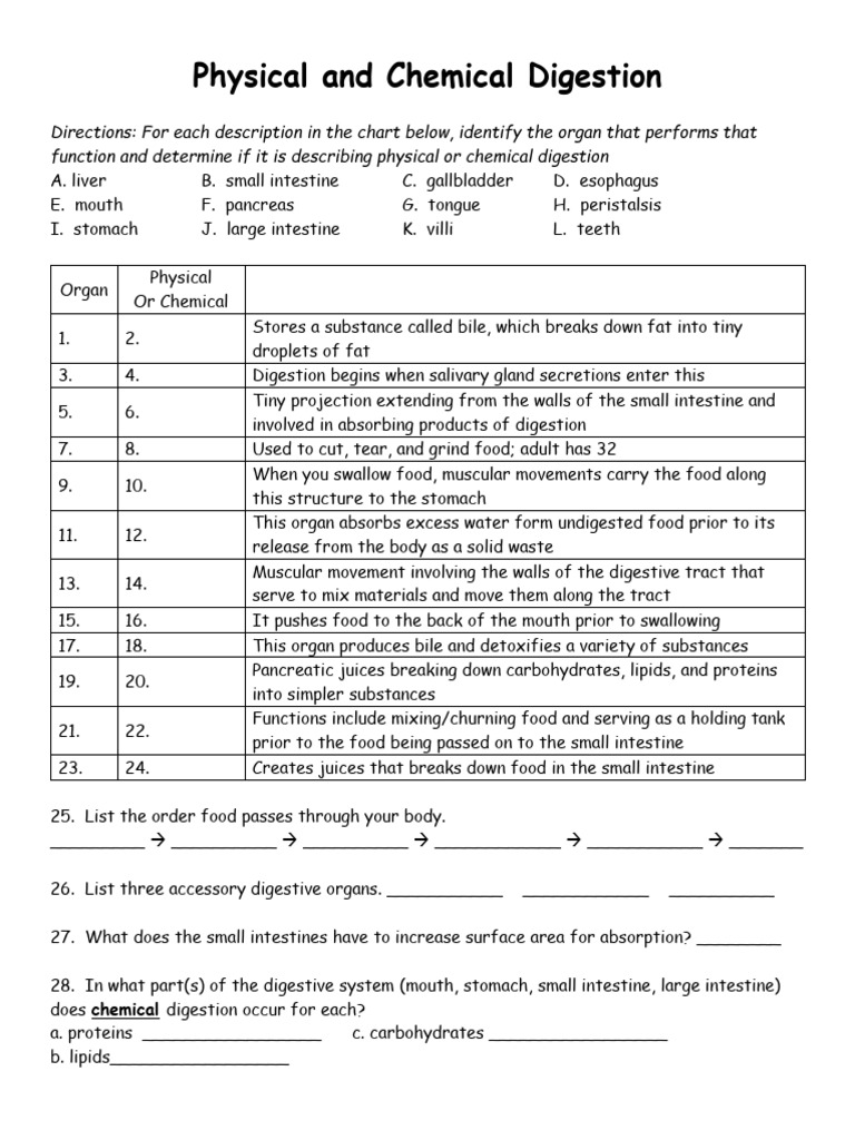 Physical and Chemical Digestion With Diagram | PDF | Digestion | Human ...