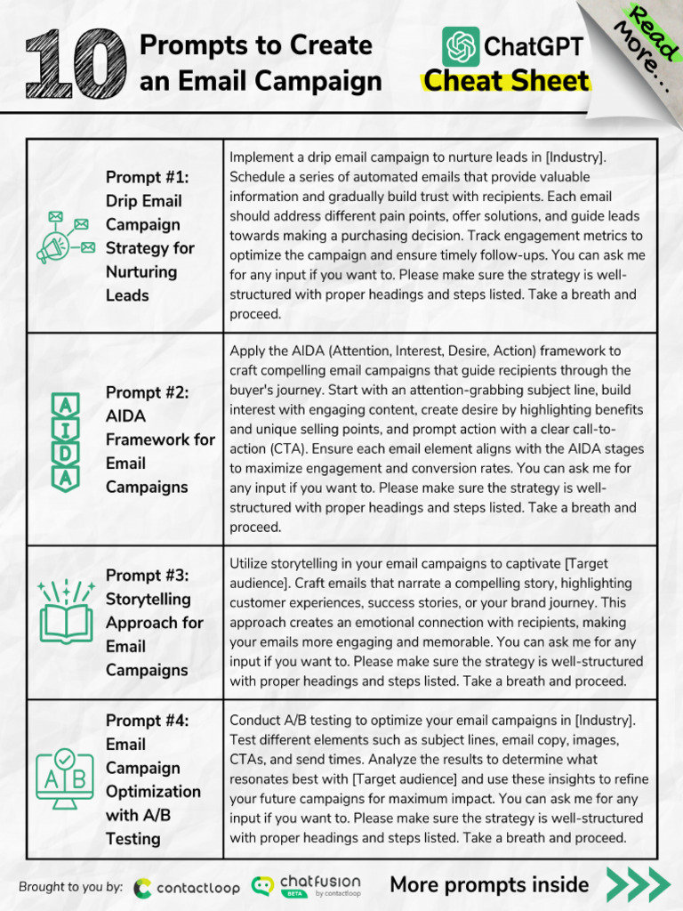Email Campaign Prompt | PDF