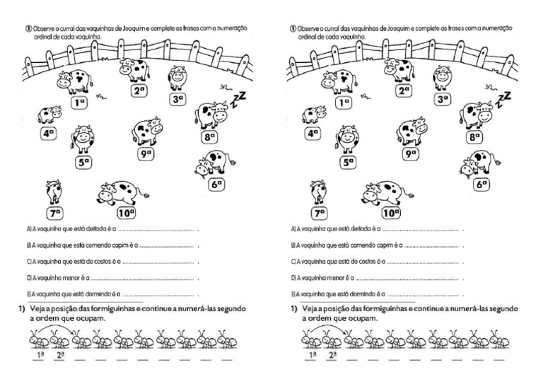 Atv Mat Numeros Ordinais | PDF