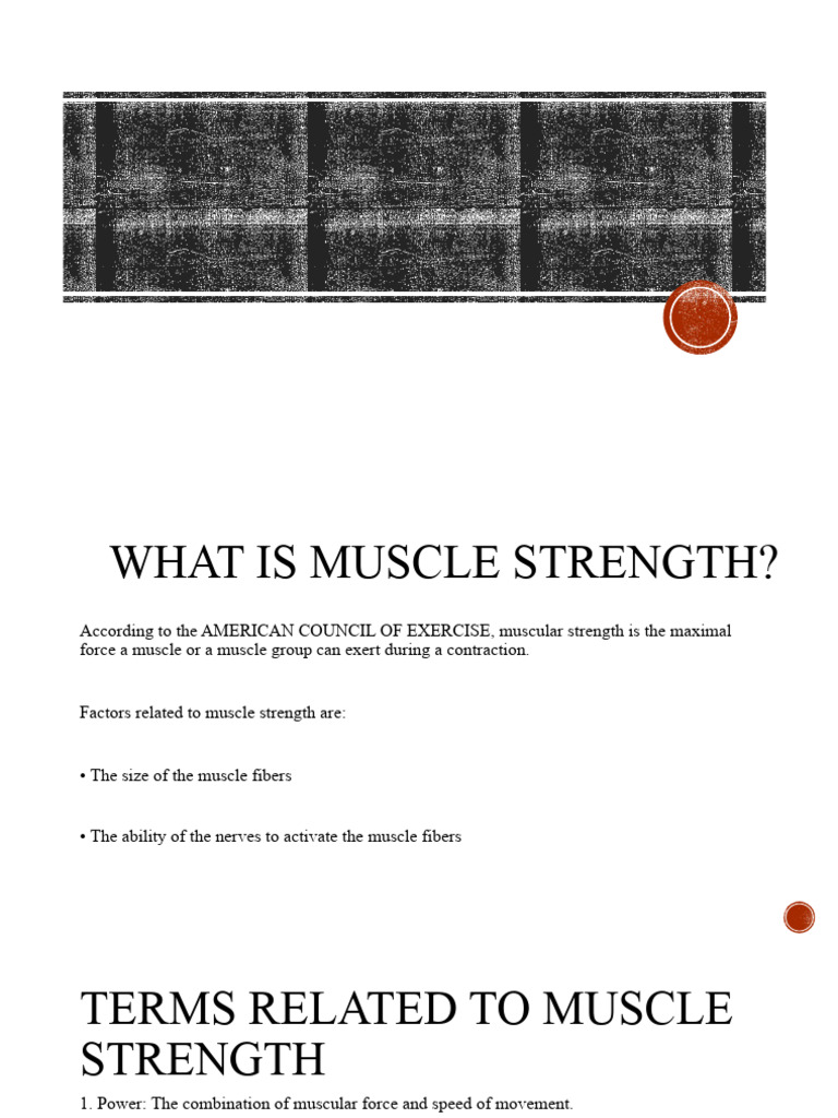 Presentation | PDF | Muscle Contraction | Hand