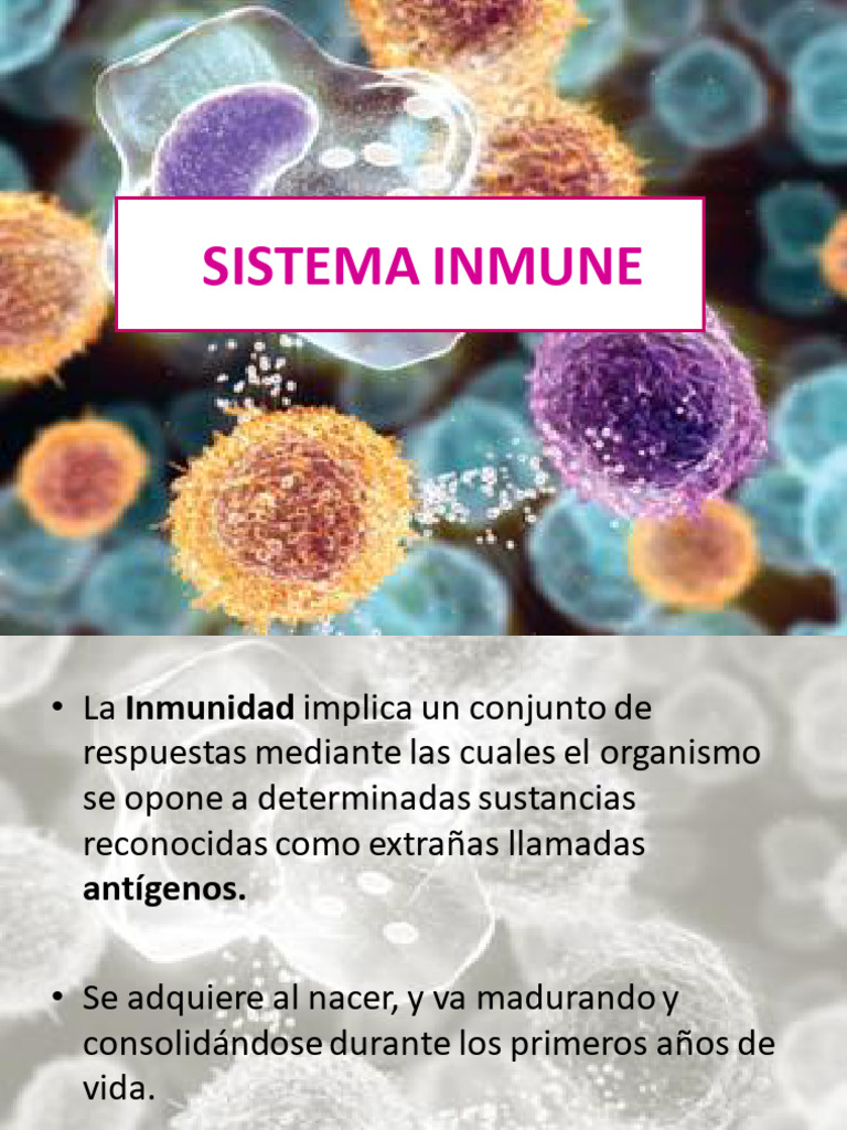 Clase 4 Sistema Inmune 2020 | PDF | Sistema inmune | Linfocitos