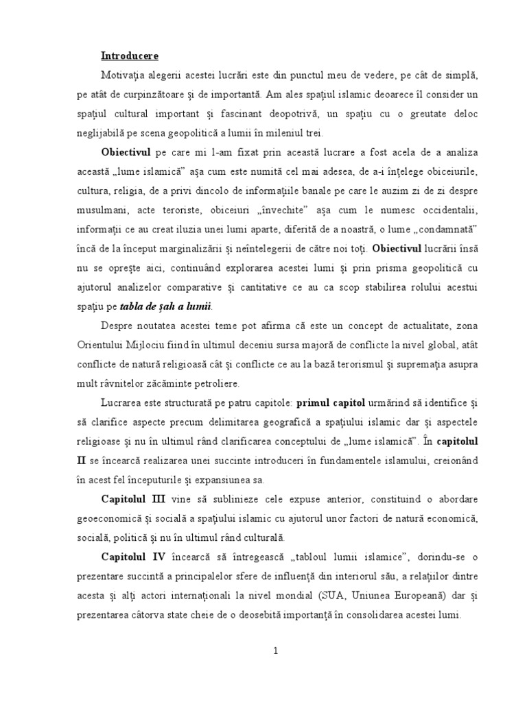 Spatiul Islamic | PDF