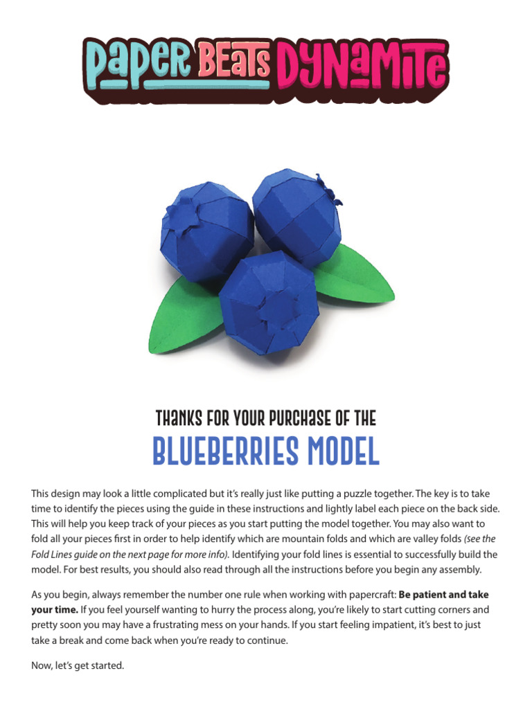 Instructions Blueberries | PDF | Adhesive | Materials