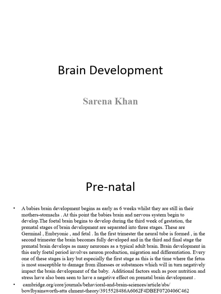 Unit 401 Task Bi Brain Development Template | PDF | Prenatal ...