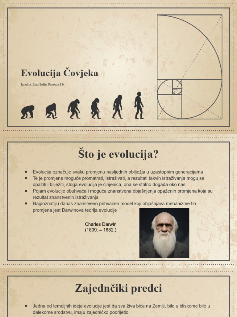 Evolucija Čovjeka | PDF