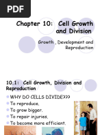 BioMan Biology | PDF | Mitosis | Cell (Biology)