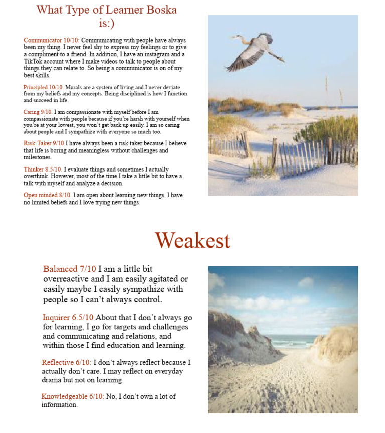 Learner Profile | PDF