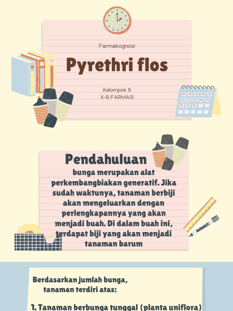 X-B Farmasi, Kel 6 Pyrethri Flos | PDF | Griya & Taman | Kesehatan Holistik