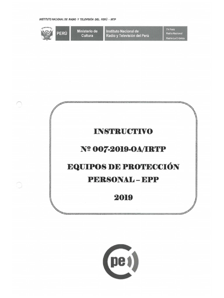 Instructivo EPPS | PDF