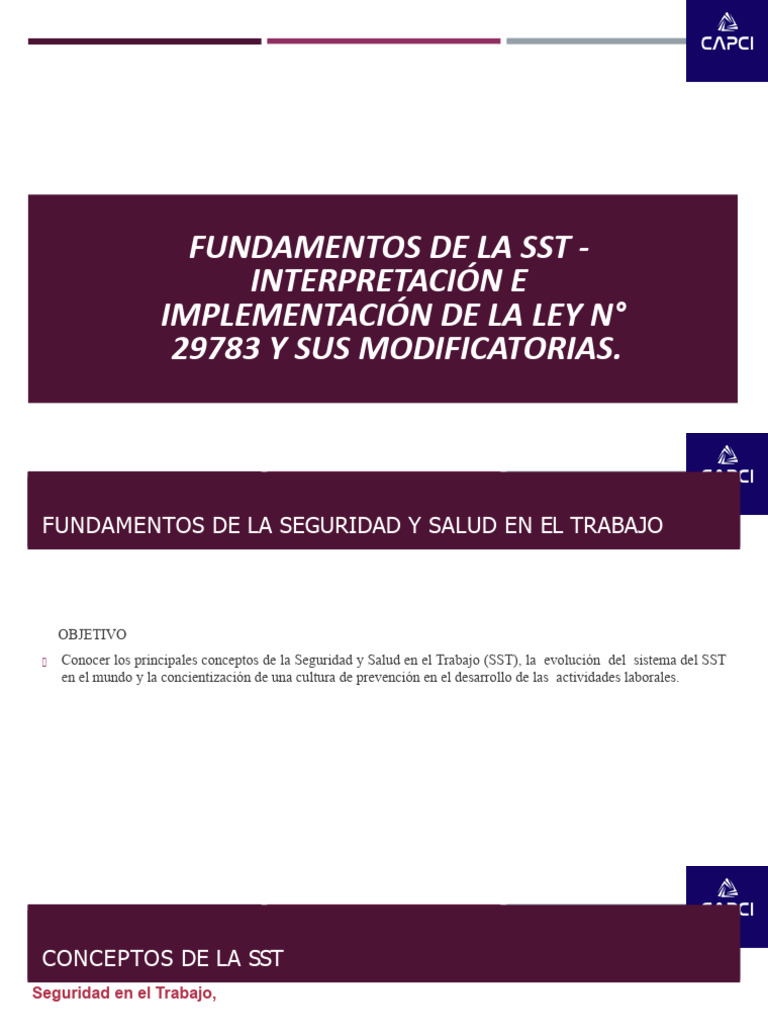 Fundamentos de La Sst-E Interpretación de La Ley 29783 y Su Modificatoria | PDF | Seguridad y ...