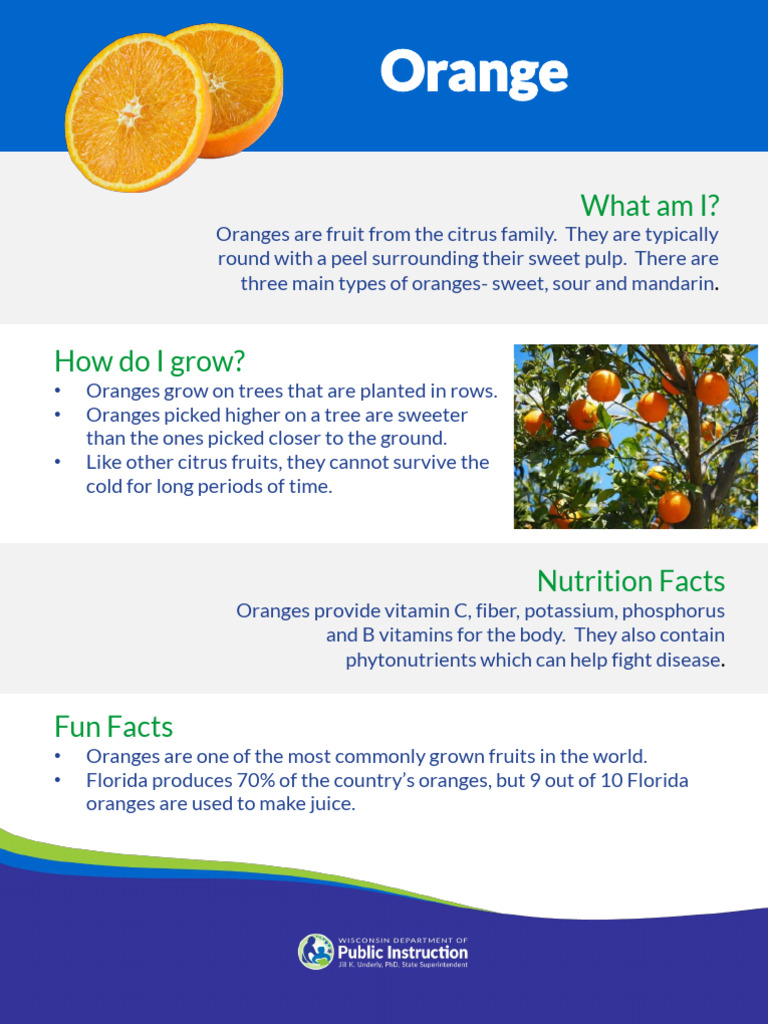 Fact Sheet Orange | PDF
