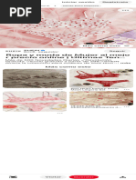 Ideas de Ropa para Toca Boca | PDF