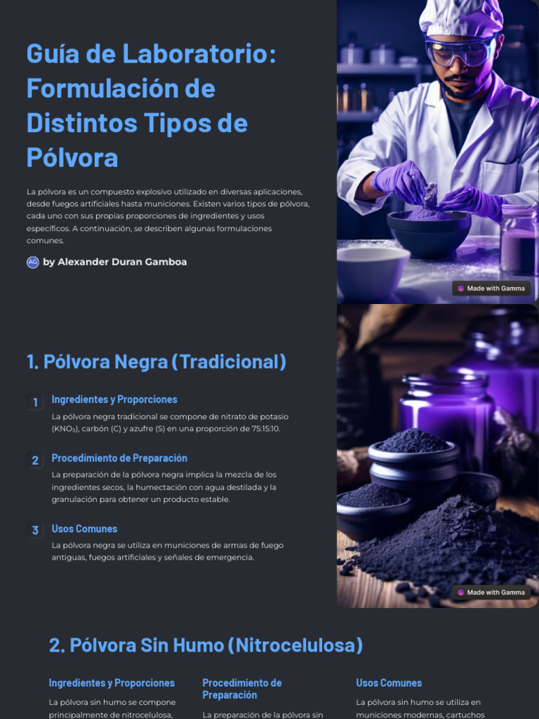 Guia de Laboratorio Formulacion de Distintos Tipos de Polvora | PDF ...